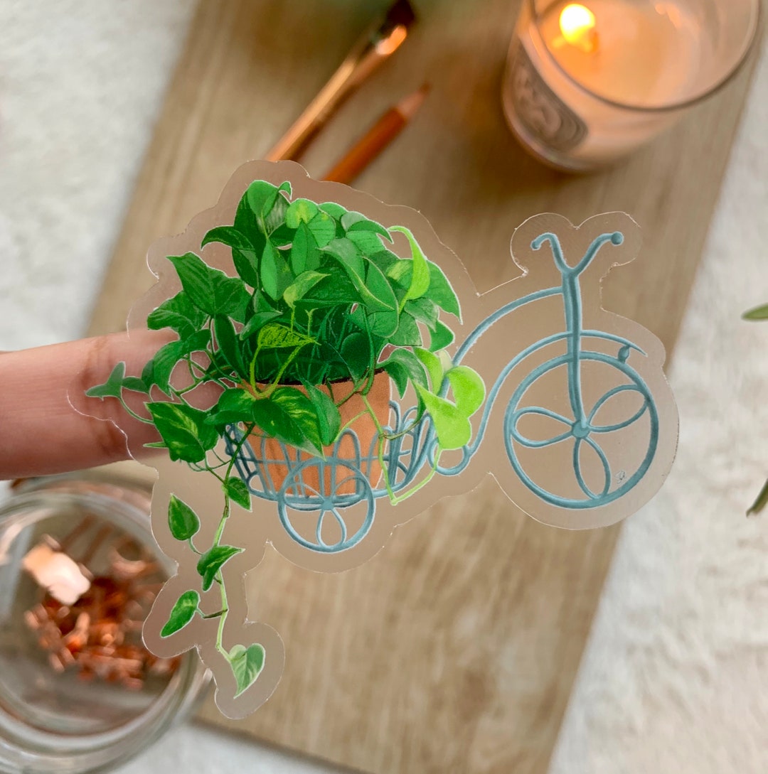 Pothos Plant Sticker, Waterproof Sticker, Potted Plant Sticker ...