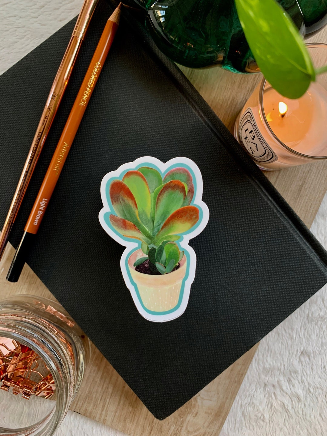 Flapjack Succulent Sticker, Waterproof Vinyl Plant Decal - Etsy