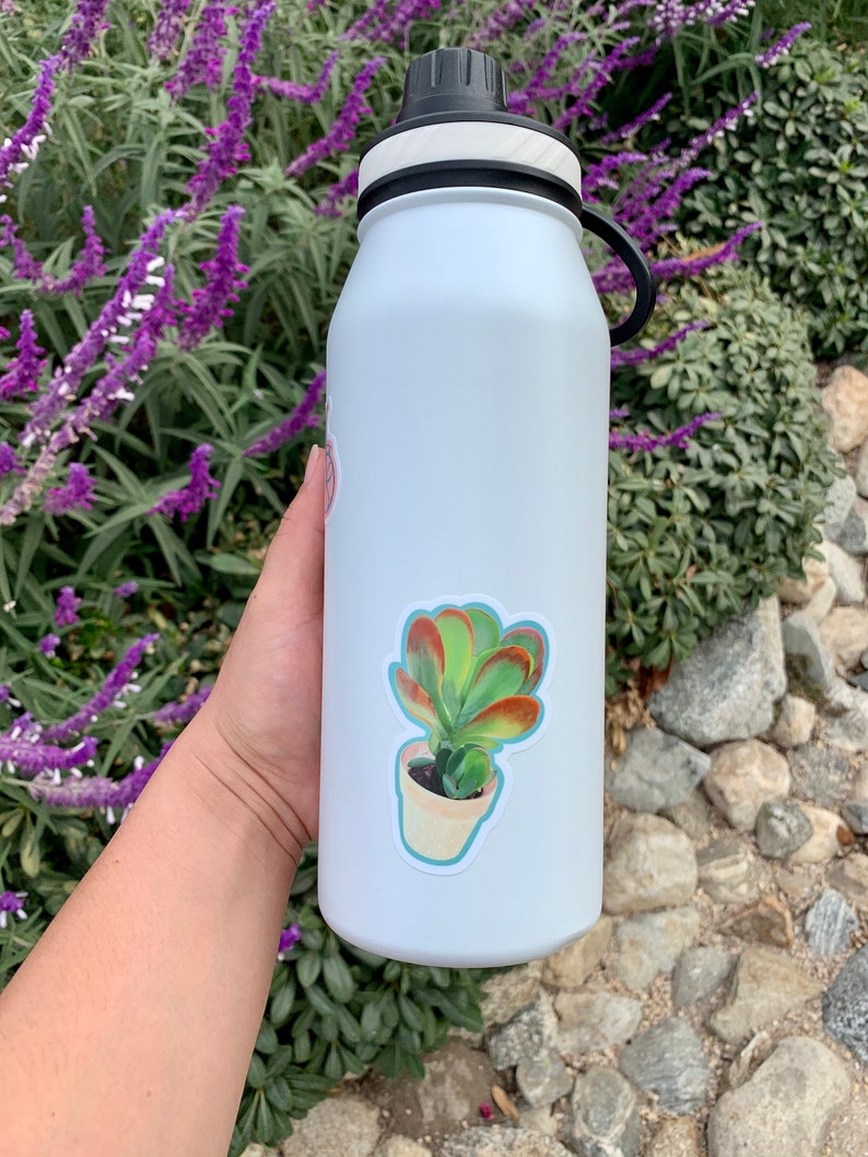Flapjack Succulent Sticker, Waterproof Vinyl Plant Decal - Etsy