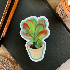 Flapjack Succulent Sticker, Waterproof Vinyl Plant Decal - Etsy