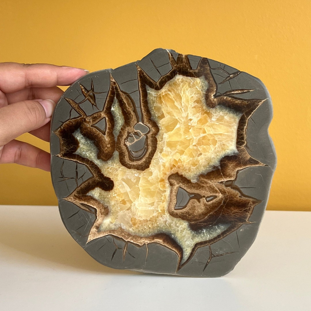 Septarian Slab, Septarian, Septarian Slice, Septarian Concretion ...