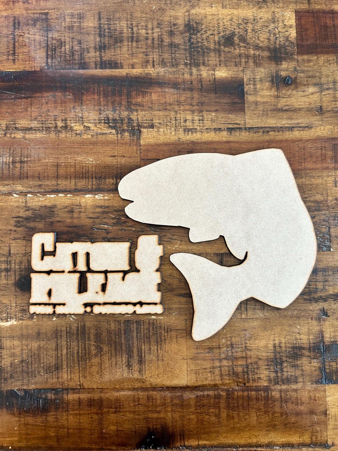 Catch and Release | Fish Cutout - Etsy