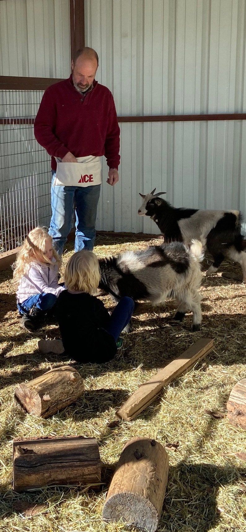 Sponsor a Wildland Burro / Donkey Rescue, Animal Lover, Gift / Present ...