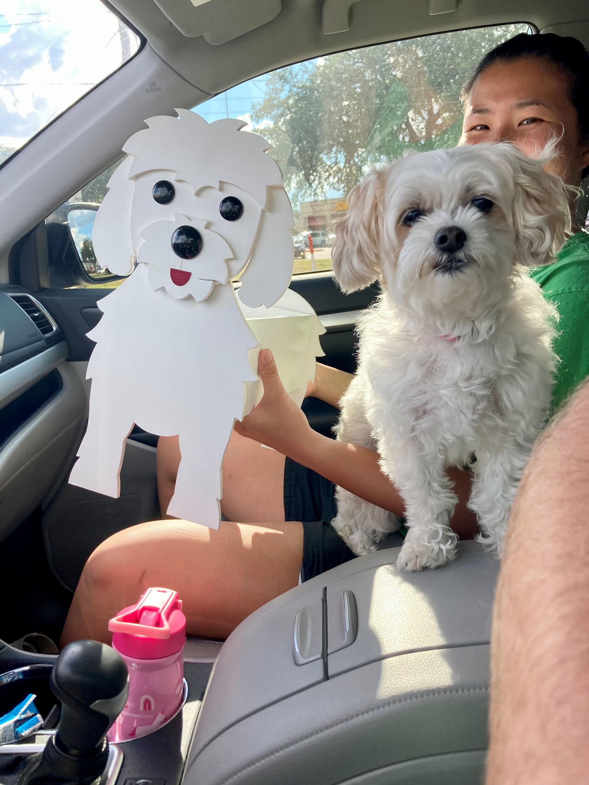 Adorable Maltese Dog Toy Box or Planter - Etsy