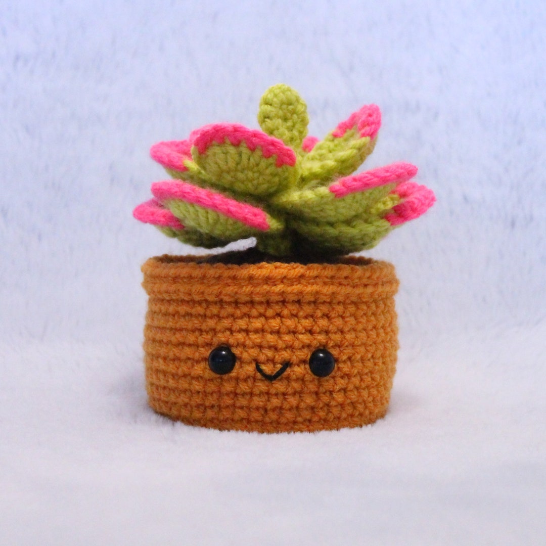 Crochet Flapjack Succulent Handmade Plushie Indoor Plant Potted Plants ...