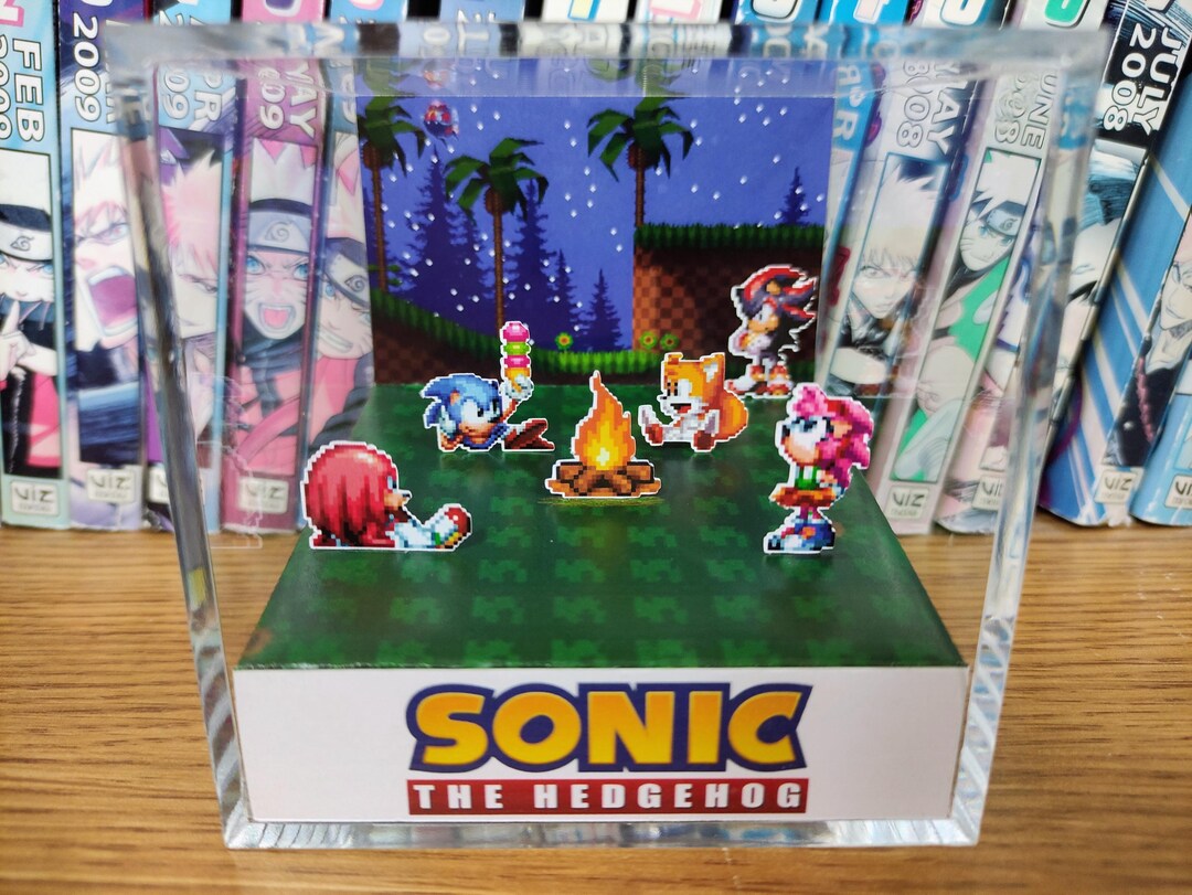 Sonic the Hedgehog Friends Campfire, Miles Tails Knuckles Amy Shadow 3D ...