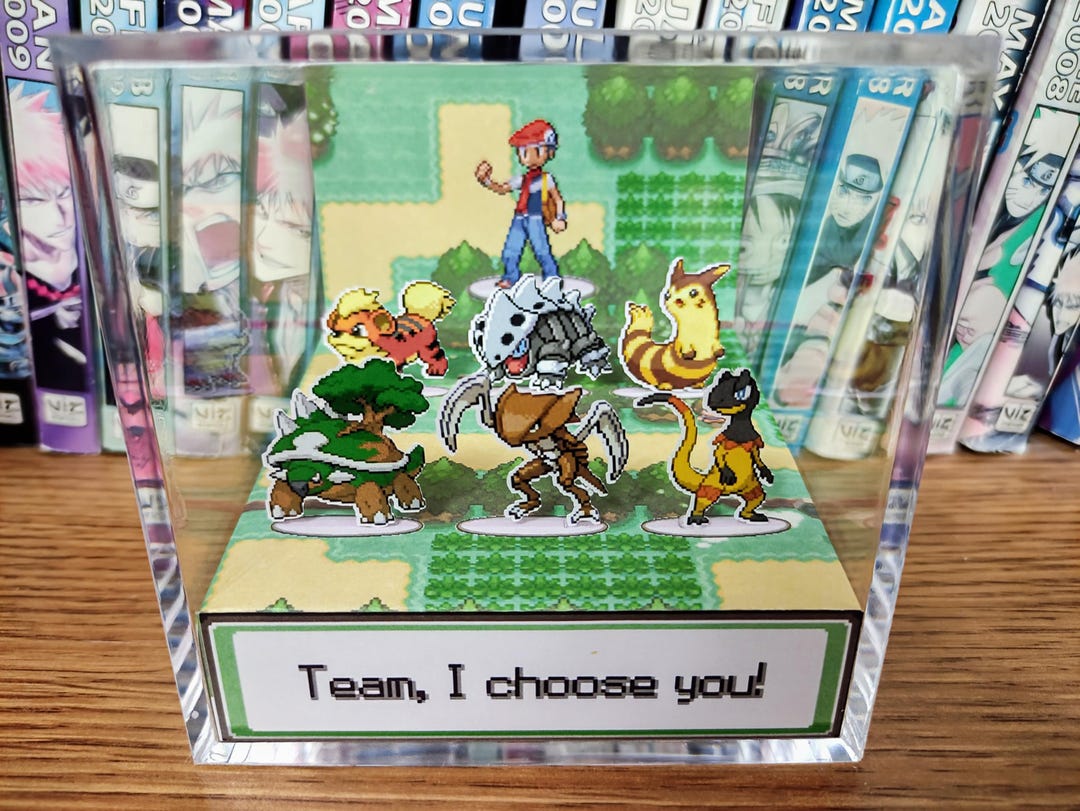 CUSTOMIZABLE Pokemon TEAM Diorama, Custom Pokemon Diorama, Pick 6 ...