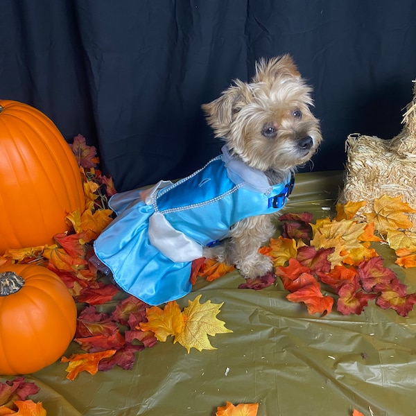 Dog Cinderella Costume - Etsy