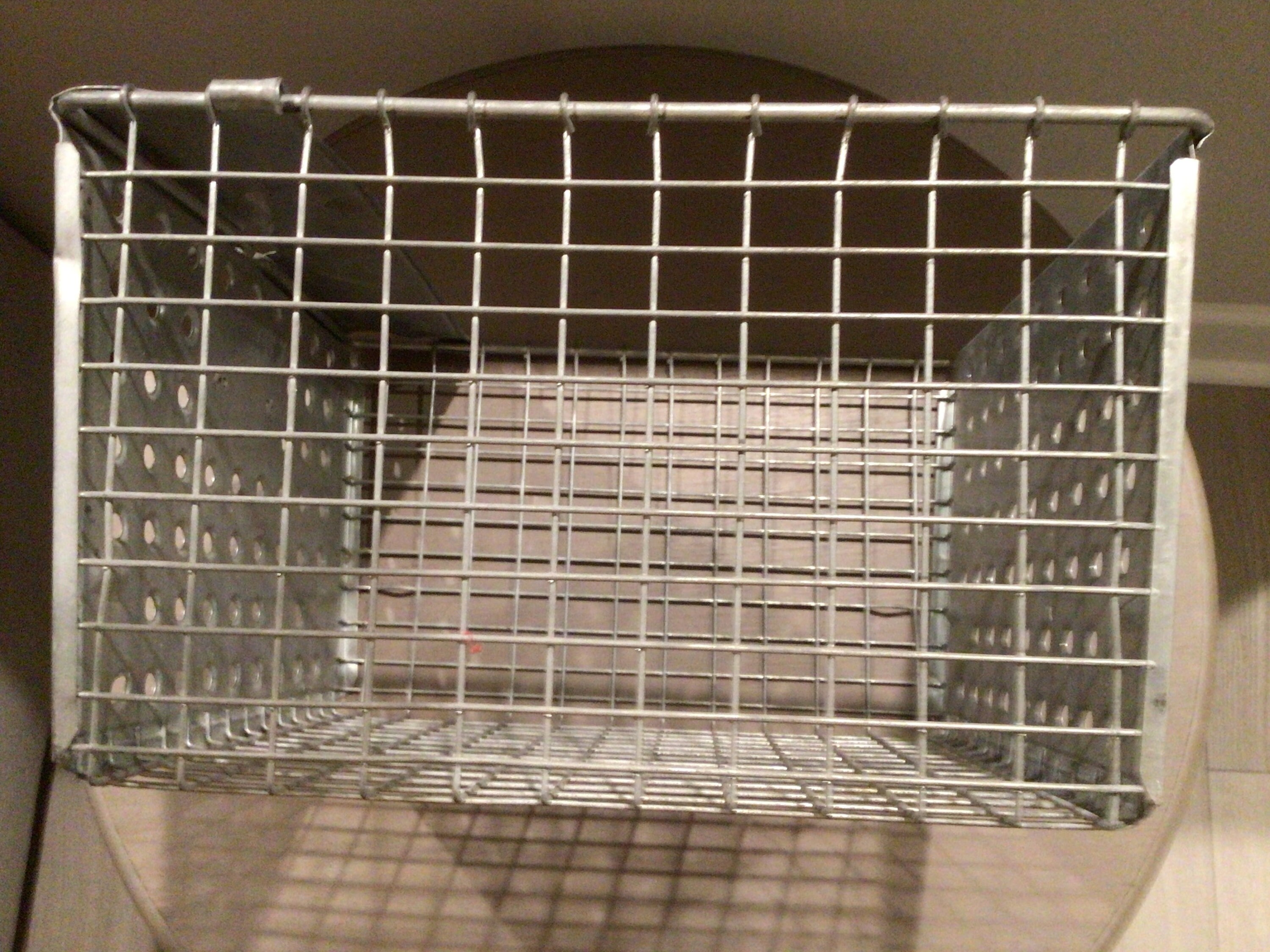 Vintage Wire Gym Locker Basket 8 - Etsy