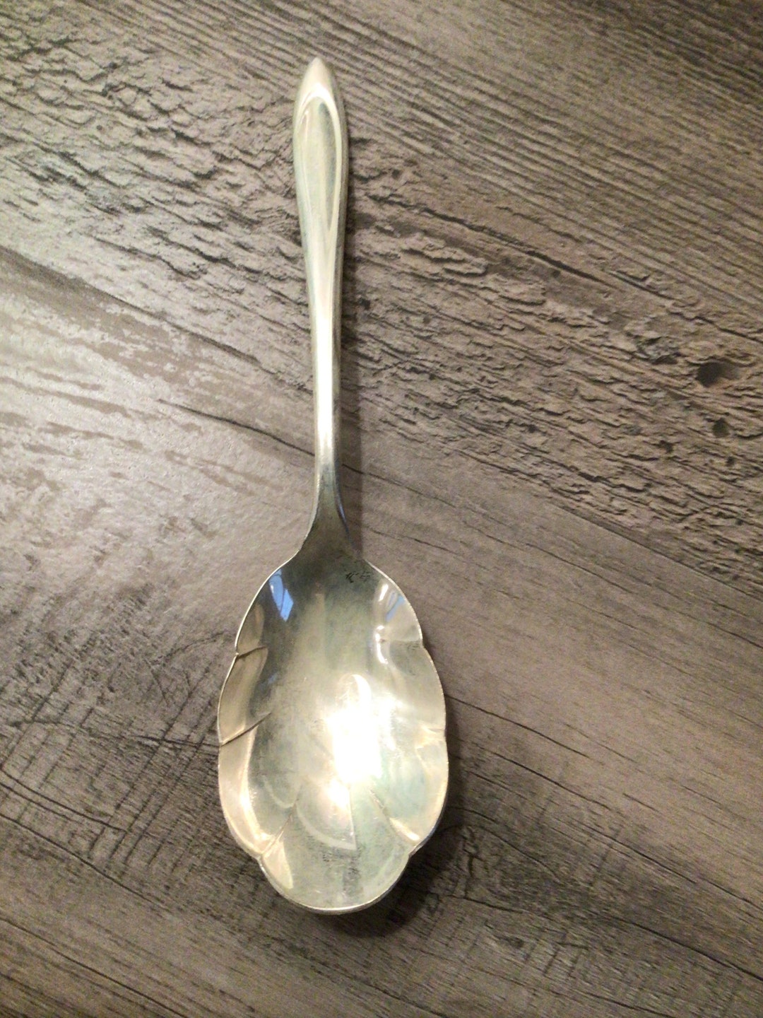 Meriden Silverplate Co. Shell Sugar Spoon - Etsy