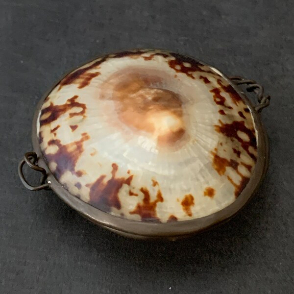 Shell Purse - Etsy