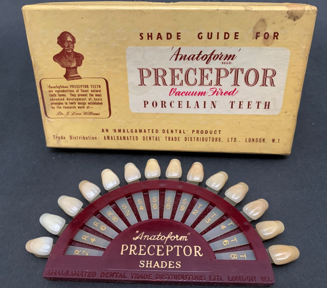 Vintage Dental Tool With Porcelain Teeth in Original Box Dating to ...