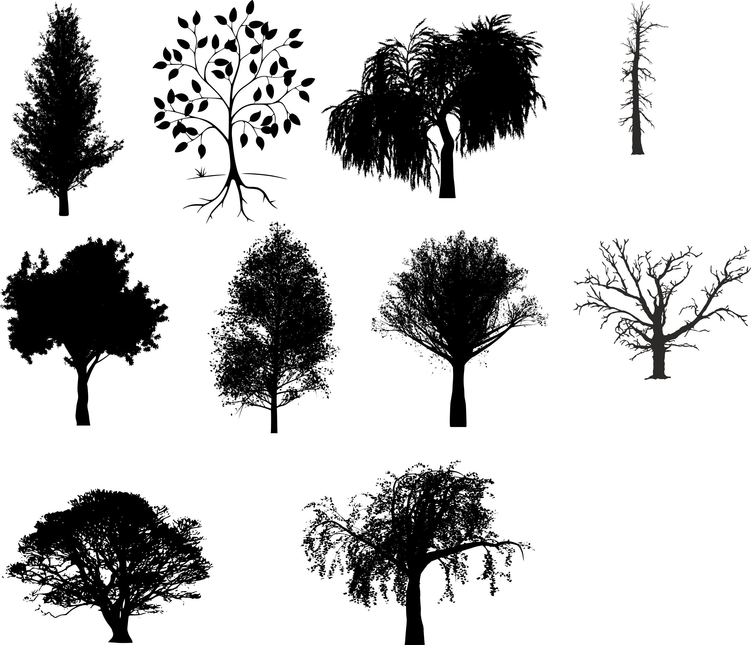 Tree Vector Svg Tree SVG Tree Svg Bundle Tree clipart | Etsy