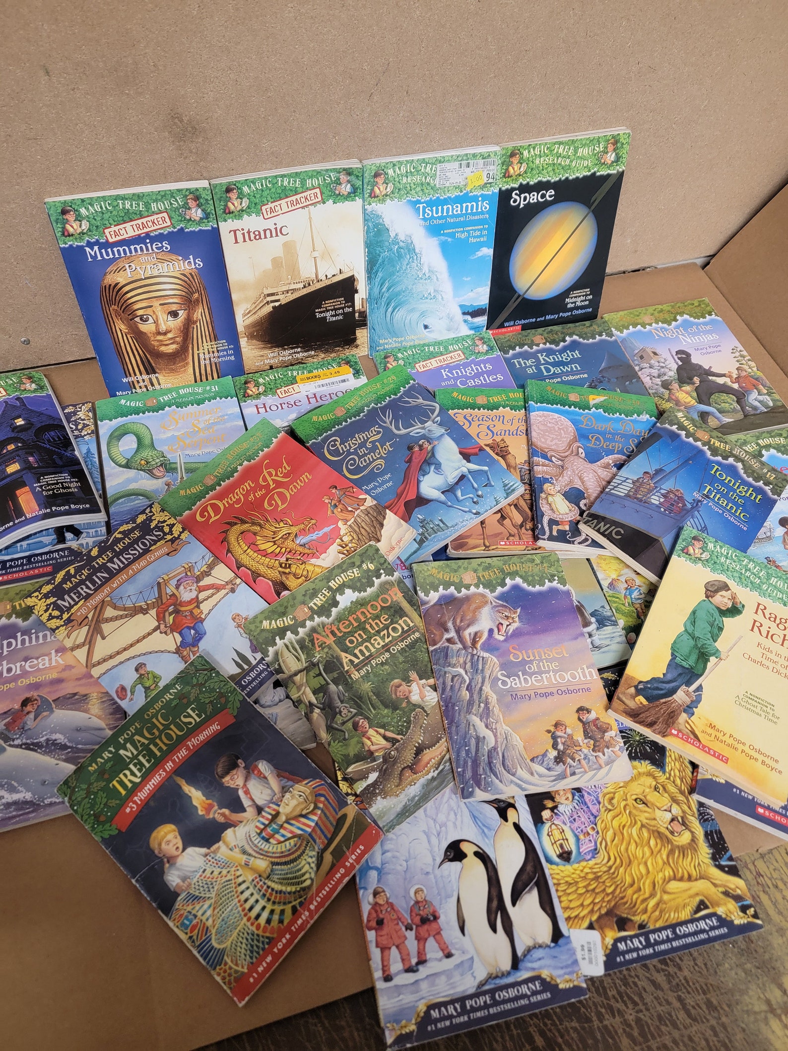 Lot of 5 Magic Tree House Books by Mary Osborne Child Kids Chapter Mix ...