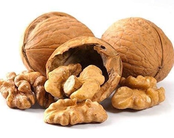 California Walnuts in Shell - Etsy