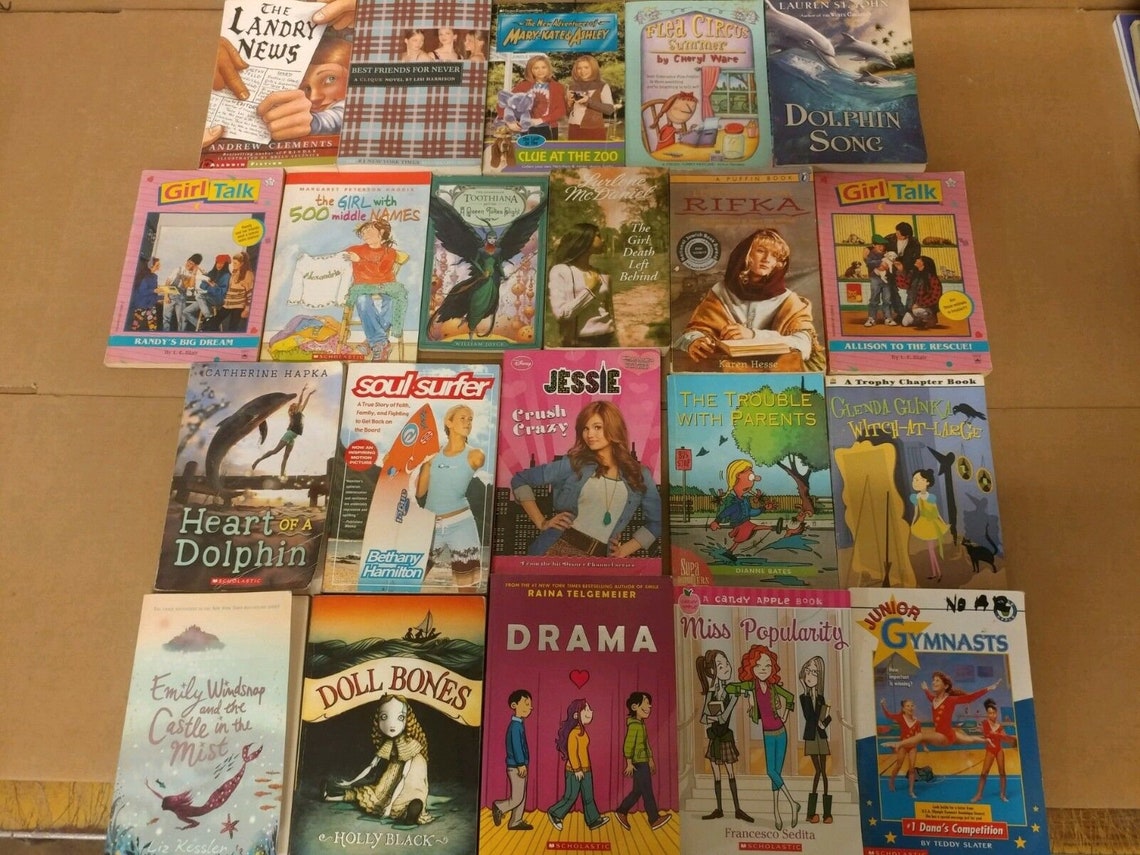 Lot of 20 Chapter Books for Girls Youth Early Reader Young - Etsy