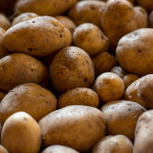 Russet Potatoes, Freshproduce 1 2 5 10 20 Pounds USA Grown NON-GMO for ...