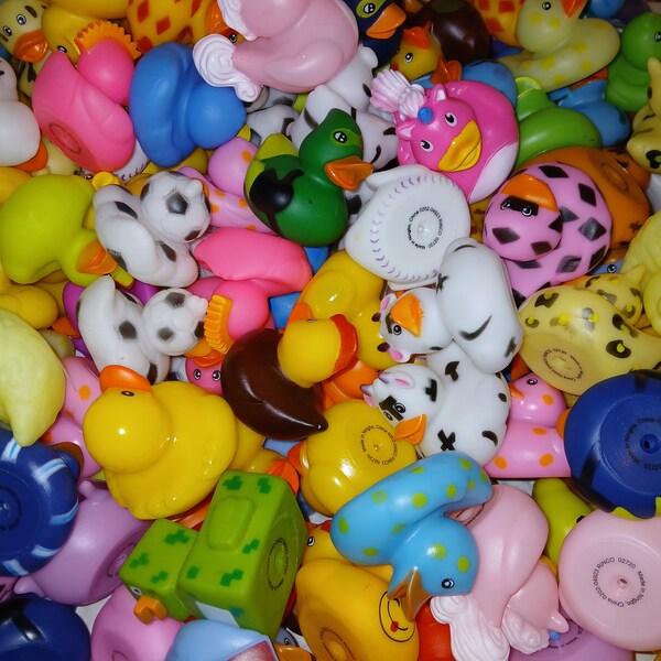 Rubber Ducks Jeep - Etsy