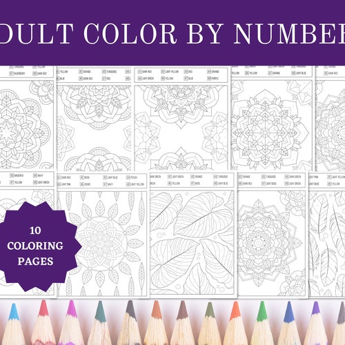 Printable Adult Color by Numbers Coloring Pages 8.5x11 - Etsy