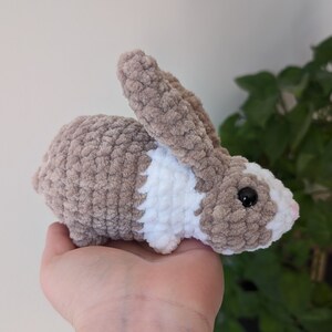 Crochet Bunny Plushie Solid Color or Dutch Rabbit Dutch Bunny Plushie ...