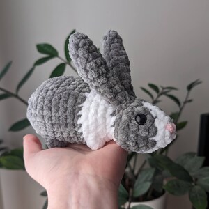 Crochet Bunny Plushie Solid Color or Dutch Rabbit Dutch Bunny Plushie ...