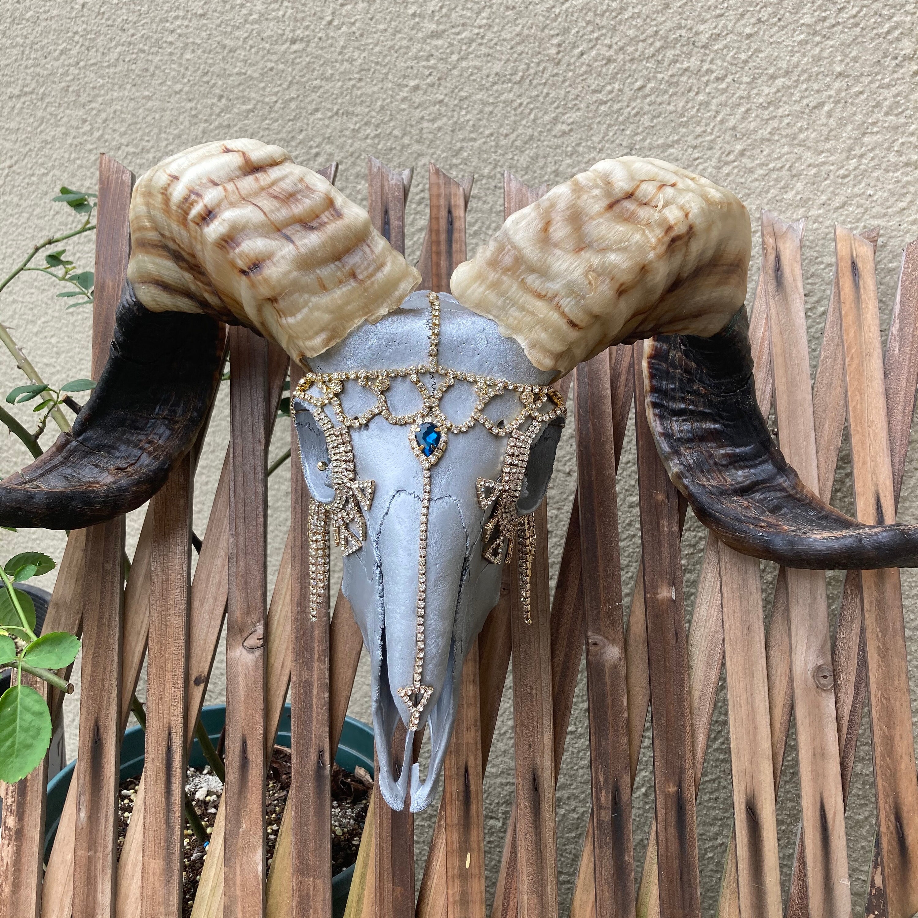 Crystalized Sheep Skull with Natural Horns Ram Skull Wall | Etsy