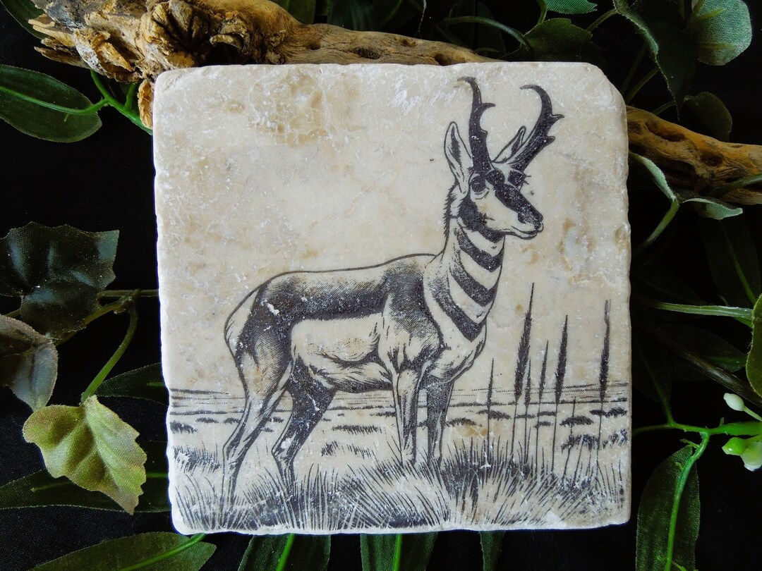 Pronghorn Antelope on Beige Marble Tile, Natural Stone Wldlife Coaster ...