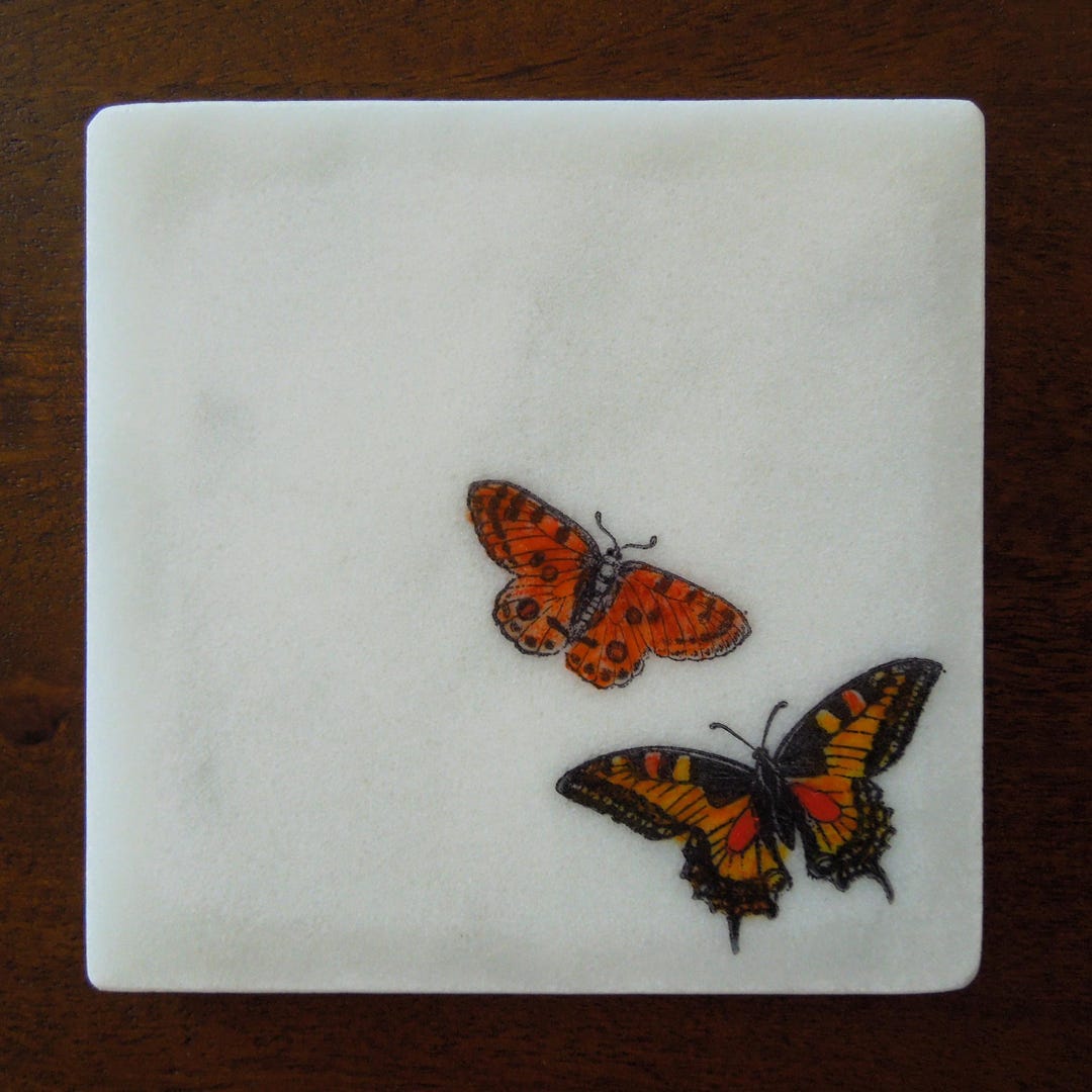 Hand-painted Butterfly Calacatta Marble Coaster Set - Etsy