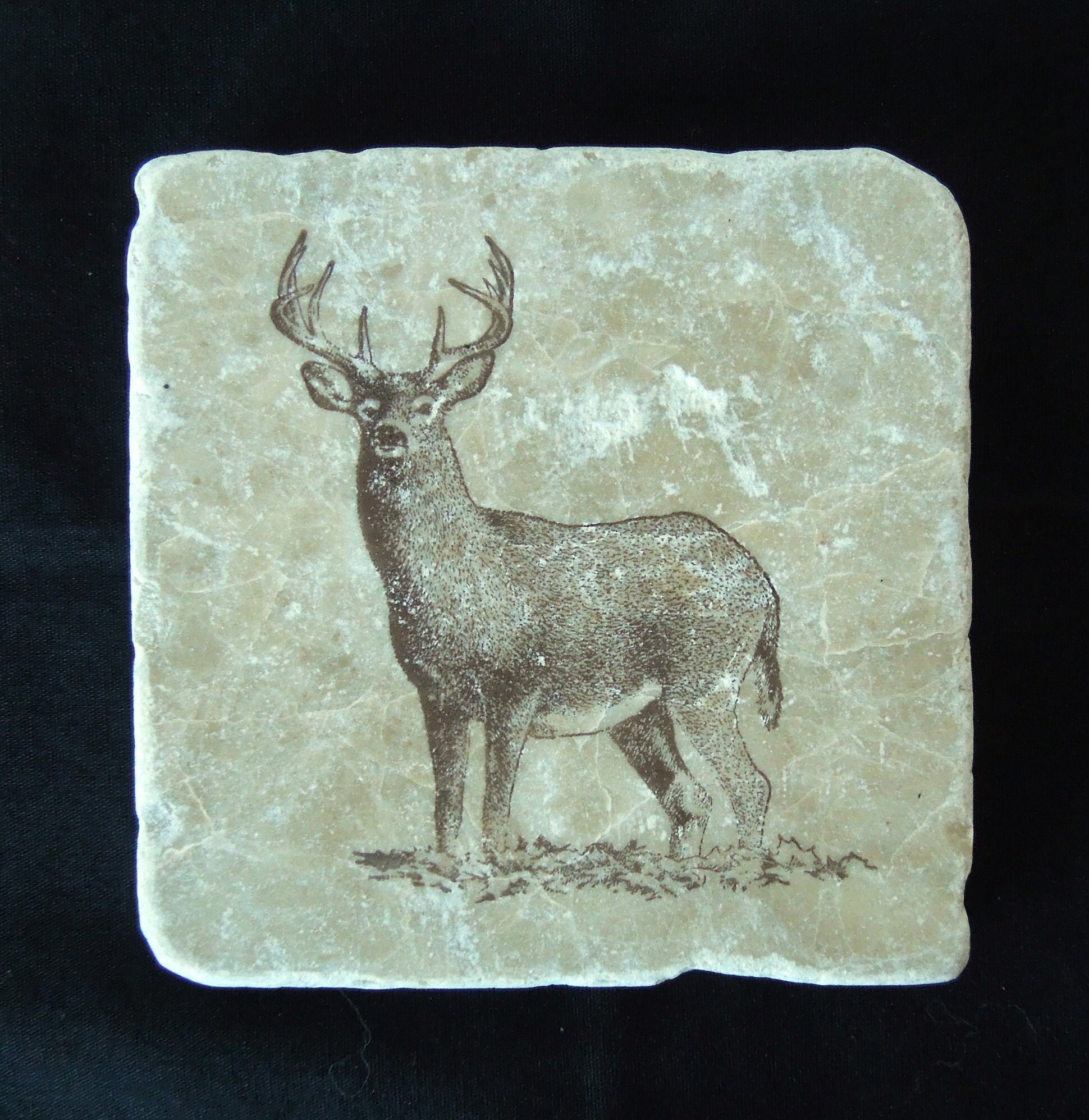 Whitetail Buck / Mule Deer Buck on Marble Natural Stone - Etsy