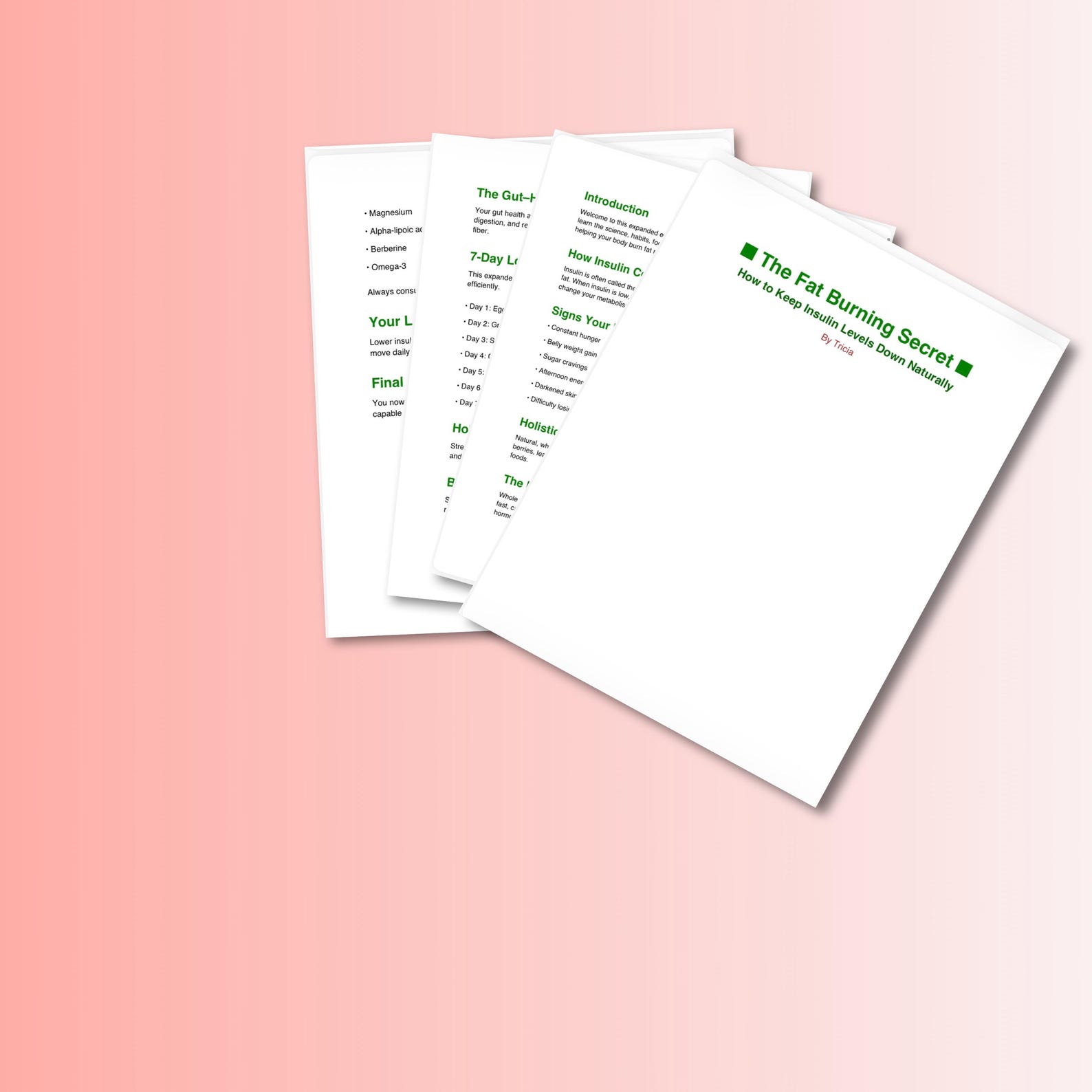 28-day Fat Burning Meal Plan | Lower Insulin Naturally | Printable PDF ...