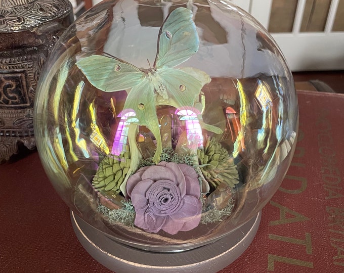 Luna Moth & Fox Pelvis Crystal Ball W/ Sunshine Quartz - Etsy