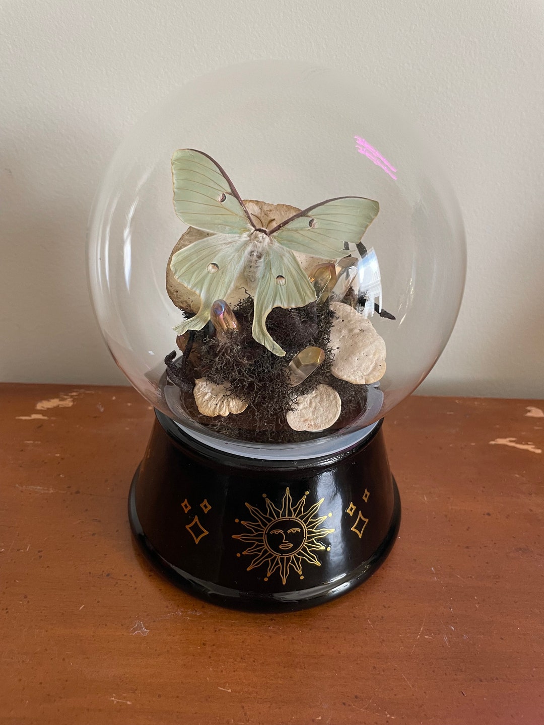 Luna Moth Crystal Ball Cloche W/ Emerald Aura Quartz - Etsy