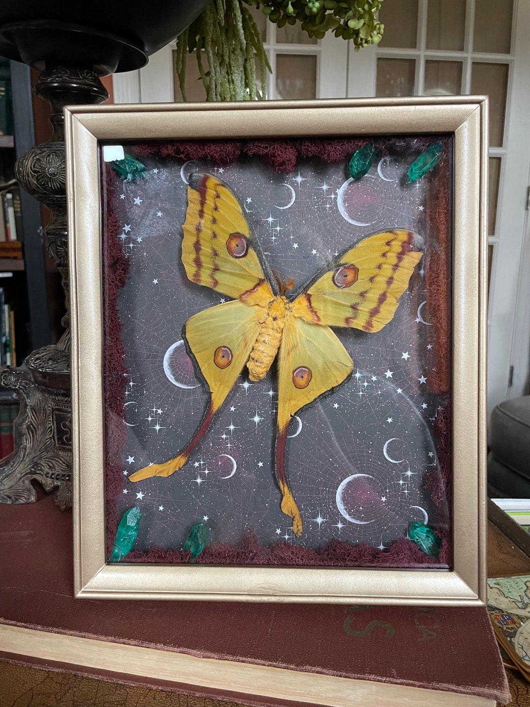 Giant Comet Moth W/ Aqua Aura Quartz - Etsy