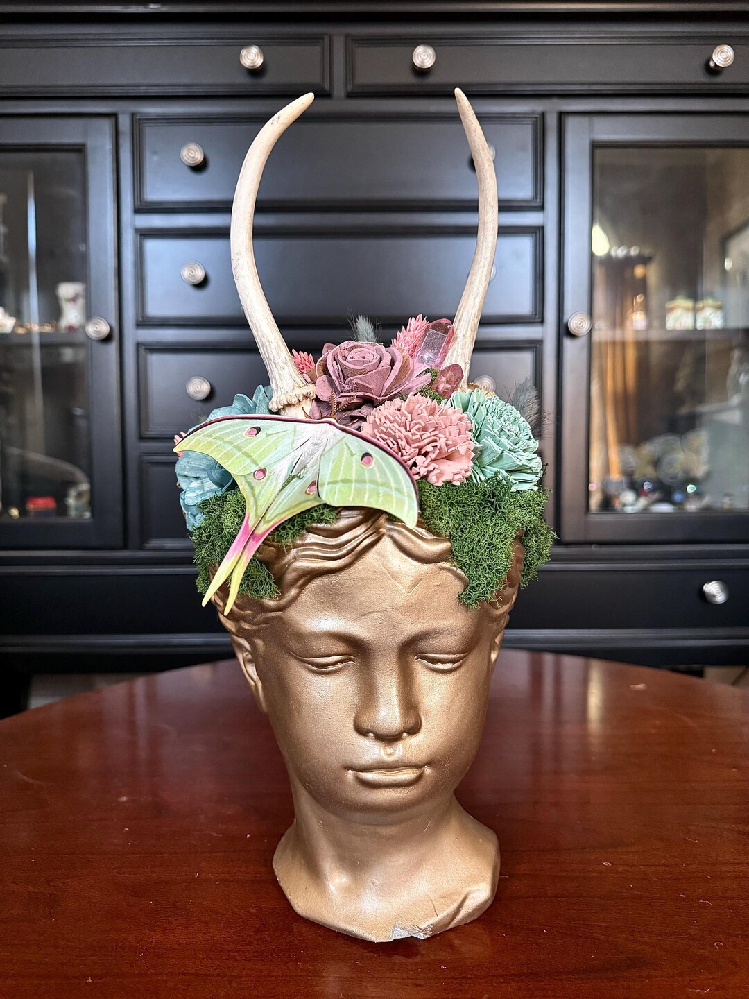 Deer Antlers and Hybrid Luna Moth Bust W/ Pink Quartz - Etsy