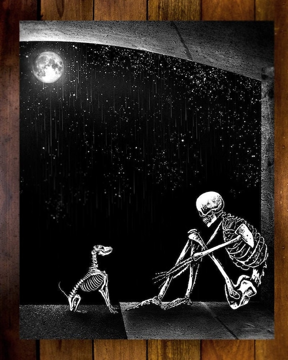 Dog Skeleton Sitting