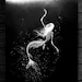 Siren. Art Print. Skeleton Dark Mermaid Skull Art Surreal - Etsy