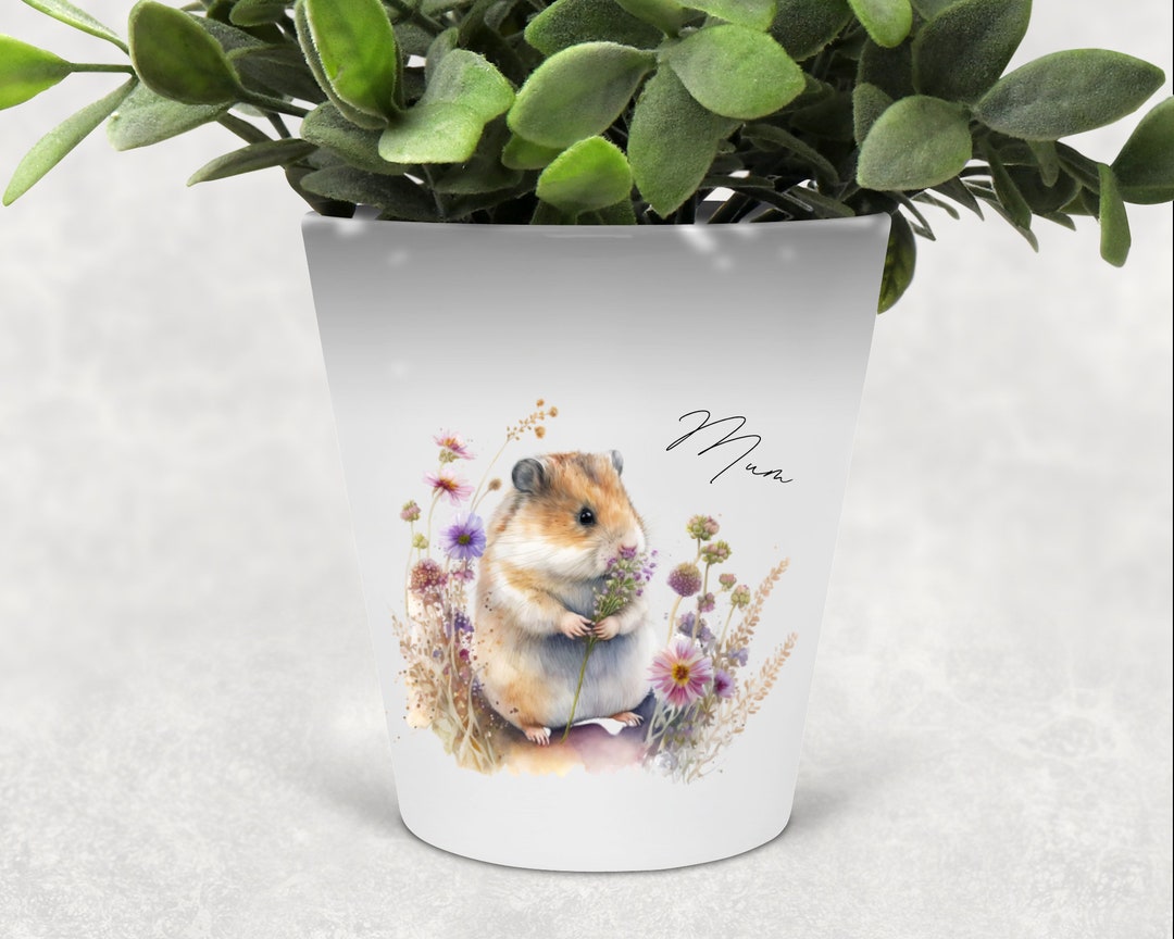 Watercolour Hamster Plant Pot / Pen Pot/ Makeup Pot With Custom Name ...