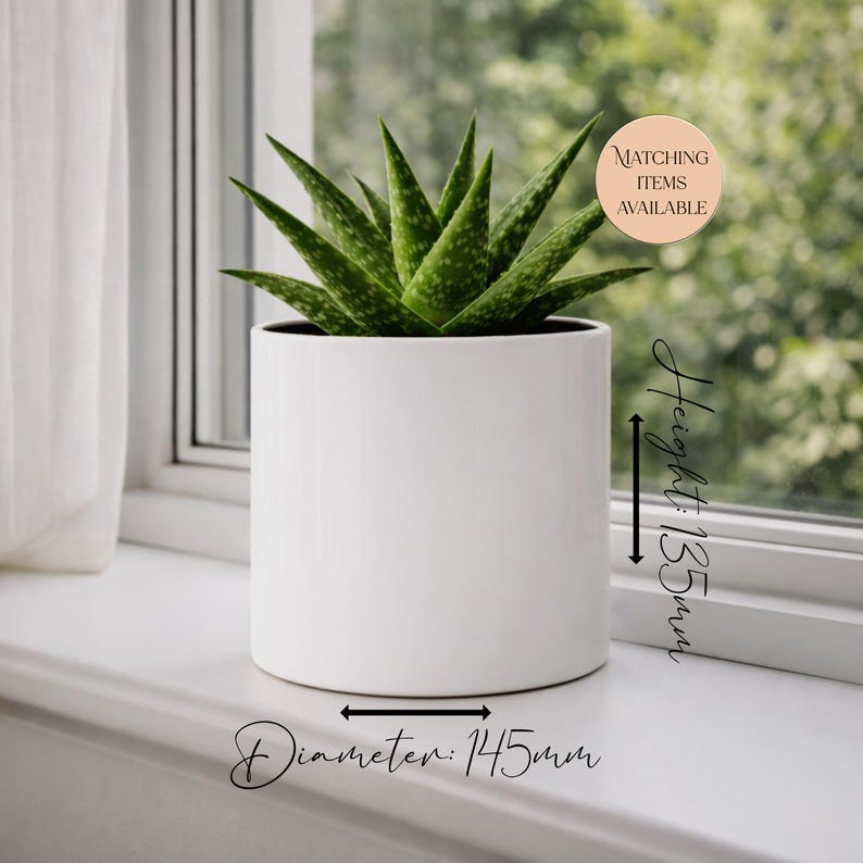 Personalised Border Collie Plant Pot | Custom Dog Succulent Planter ...