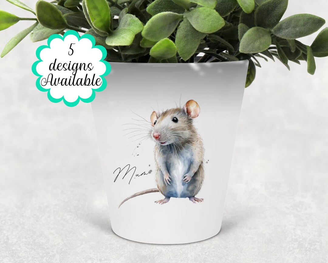 Watercolour Pet Rat Plant Pot / Makeup Pot / Pen Pot With Custom Name ...