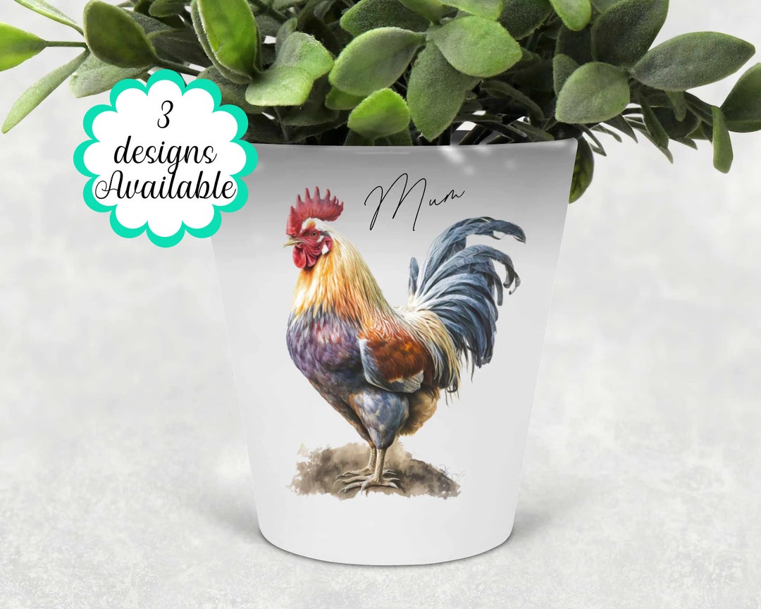 Personalised Rooster Plant Pot – Pen Holder or Makeup Brush Pot ...