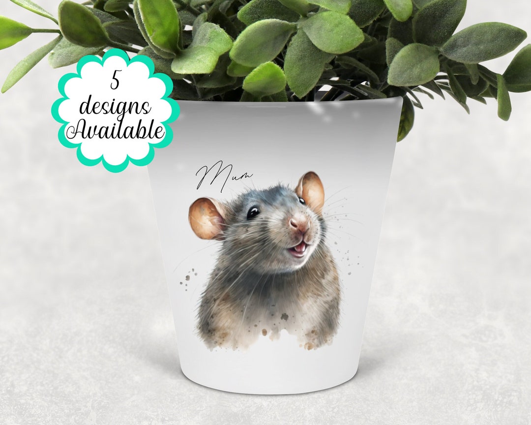 Personalised Watercolour Rat Plant Pot / Pen Pot / Makeup Holder – Gift ...