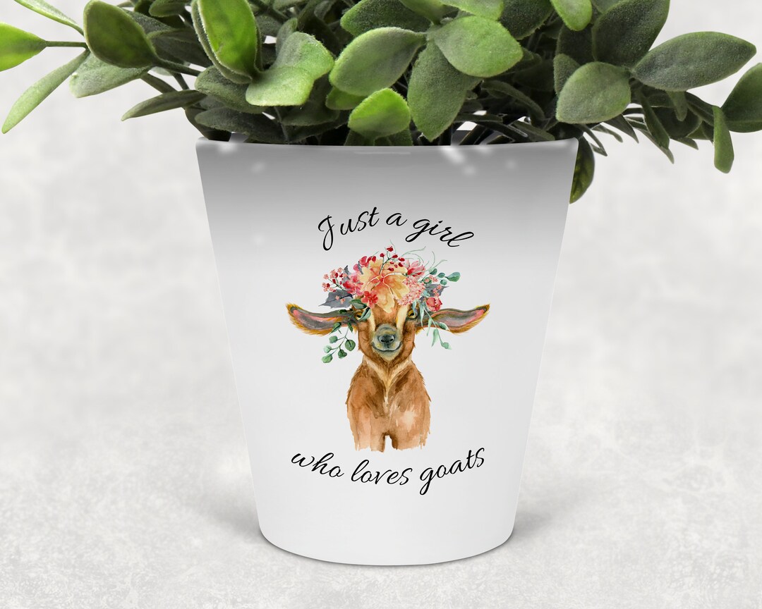 Sketched Ceramic Goat Plant Pot - Pen Pot - Makeup Brushes Holder ...