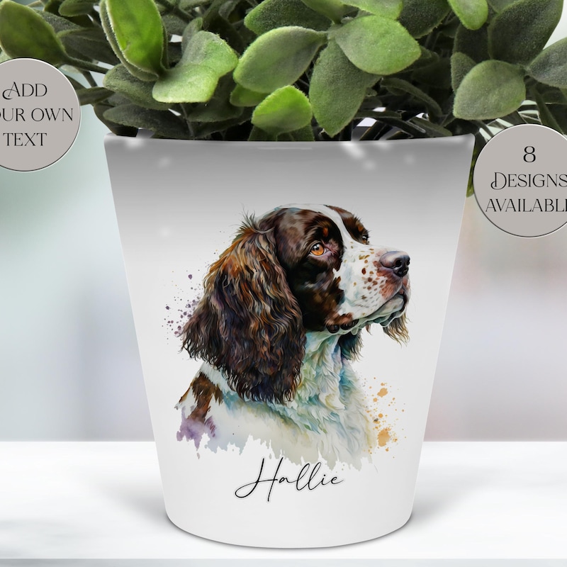 Springer Spaniel Gifts - 60+ Gift Ideas for 2025