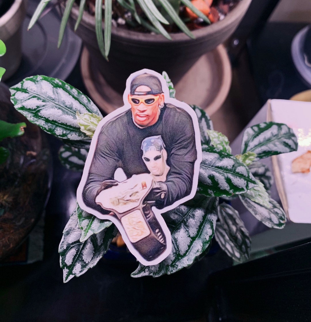Dennis Rodman WCW Vinyl Sticker (100% Waterproof) - Etsy