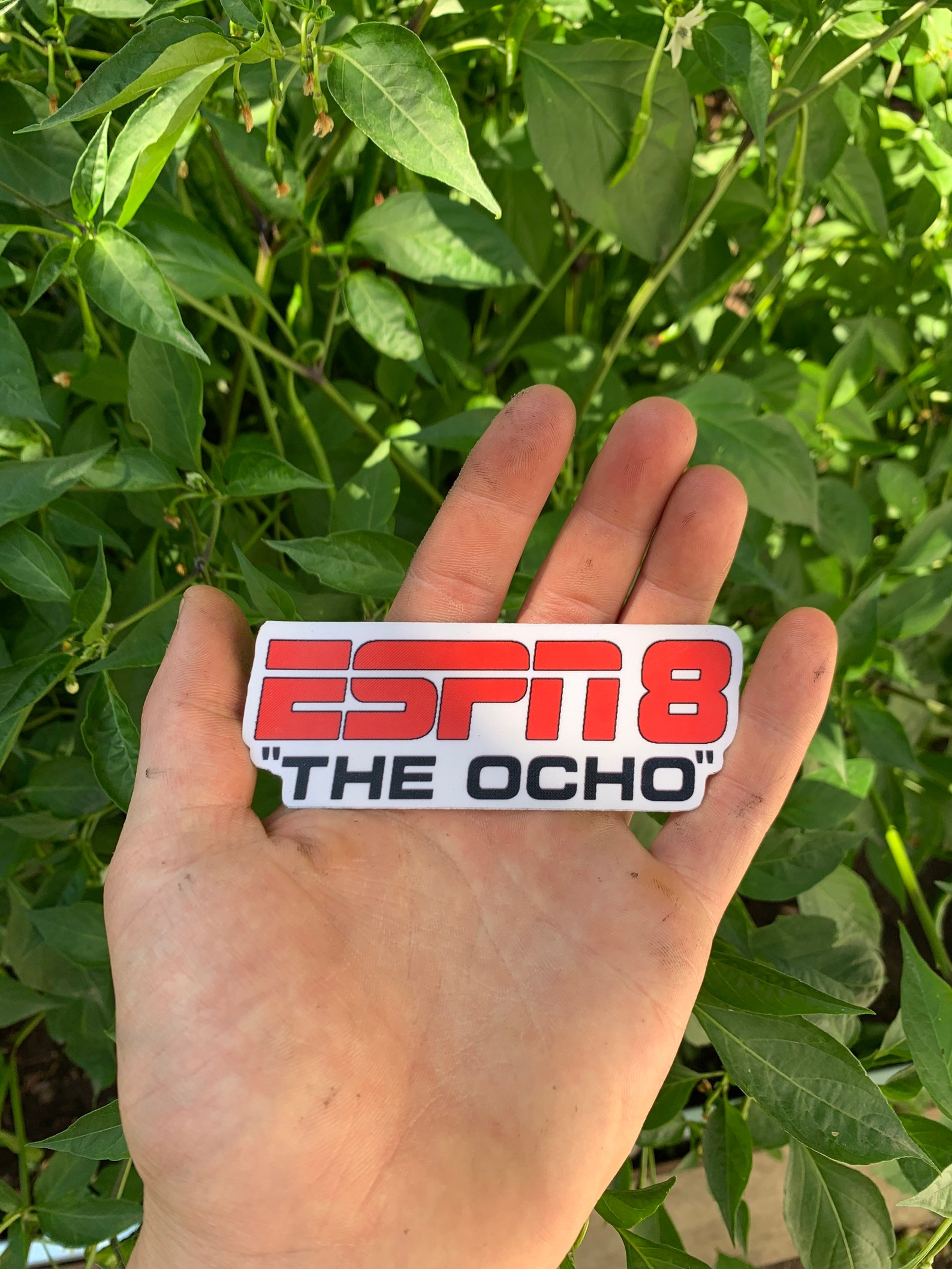 ESPN 8 the Ocho dodgeball Vinyl Sticker 100% Waterproof - Etsy