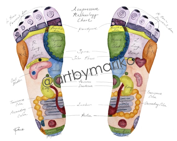 Haut 96 Imagen Carte Reflexologie Plantaire Imprimer Fr Thptnganamst