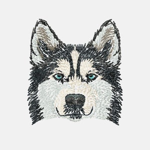 Husky Colorful Dog Face Machine Embroidery Designs, Applique and Fill ...