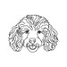 Poodle Dog Face Machine Embroidery Design Outline, Dog Sketch ...