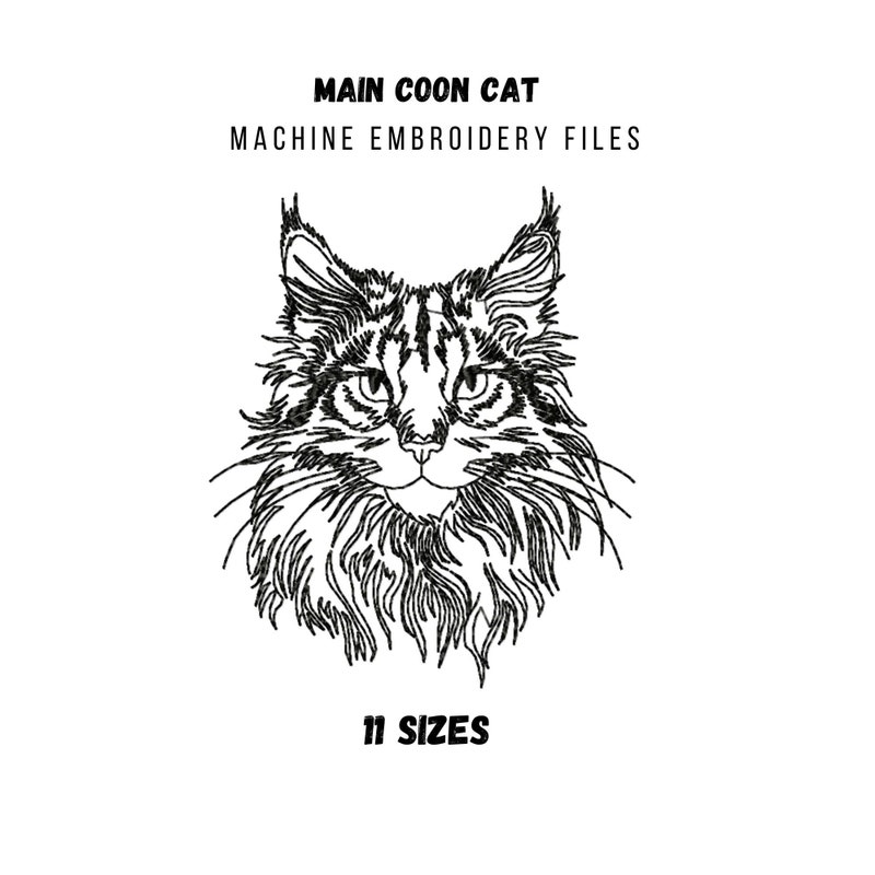 Mainecoon Cat Drawing - Etsy
