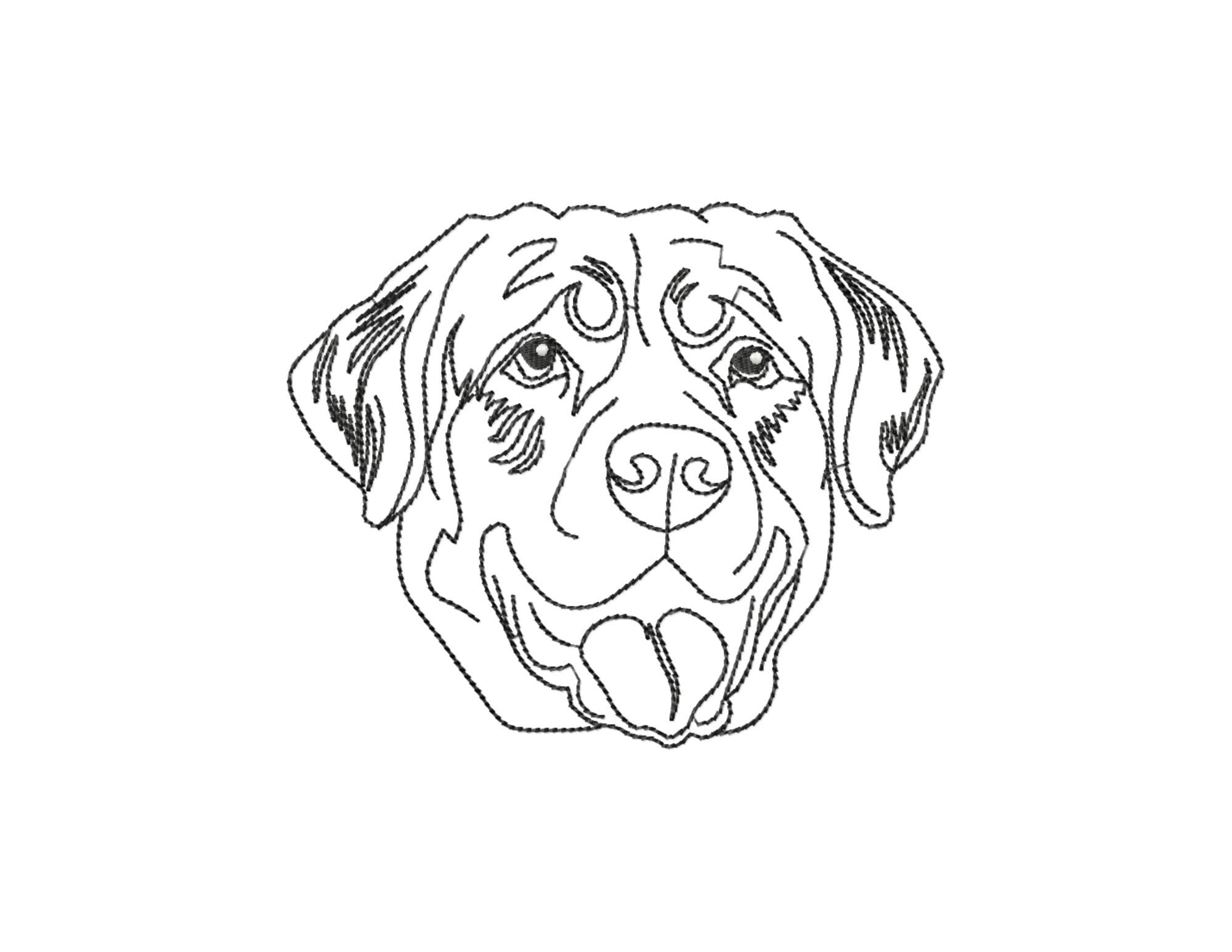 Rottweiler Face Drawing